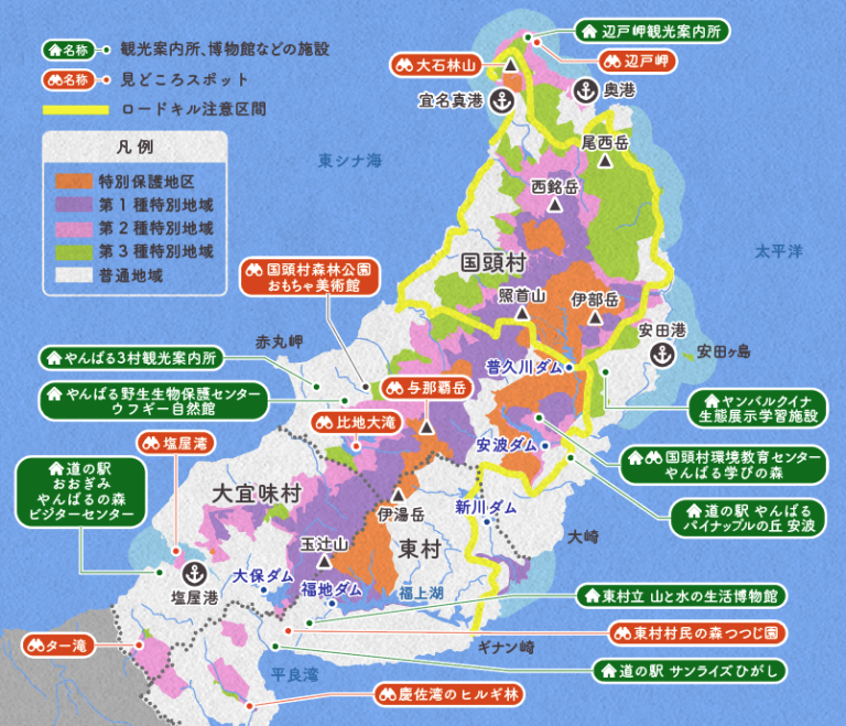 MAP | やんばる野生生物保護センター ウフギー自然館
